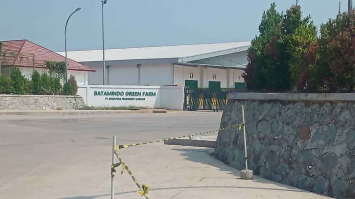 Karyawan PT Batamindo Green Farm Keluhkan Perusahaan Tak Perhatikan ...